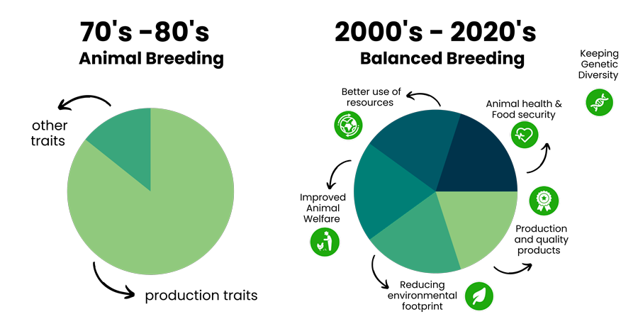 Responsible And Balanced Breeding Effab