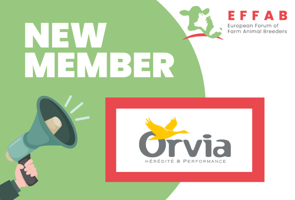 EFFAB has a new member: ORVIA - EFFAB